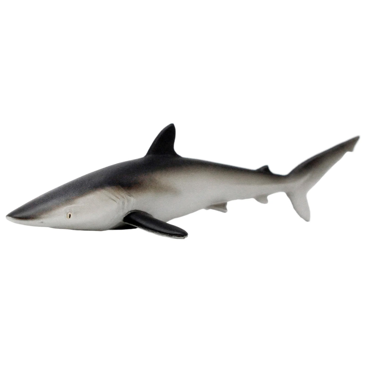 Silky Shark by Safari — Outback Toys